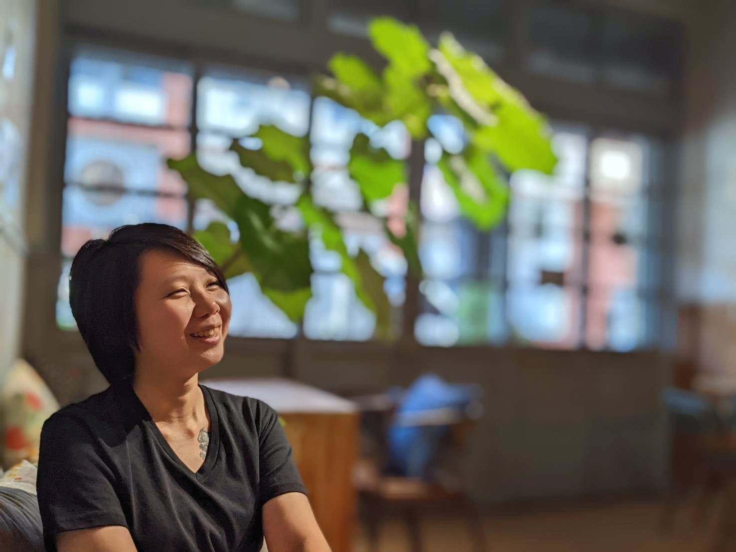 內在世界的嚮導，那一隻米爾貓介 – Mir 米爾貓催眠探索