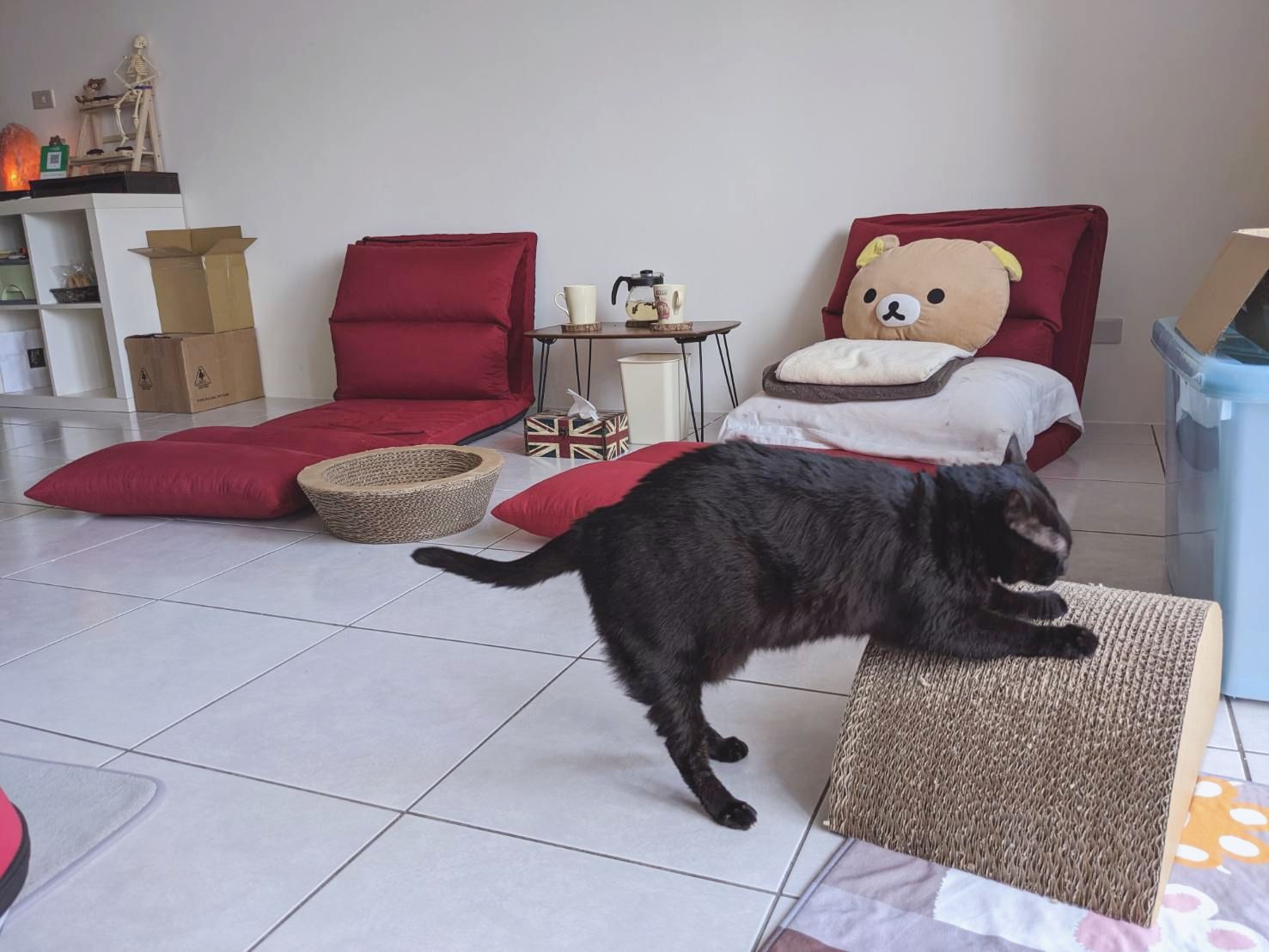 米爾貓丨國際認證催眠師．催眠改變你命運的方向 – 米爾貓丨催眠改運．紫微推運