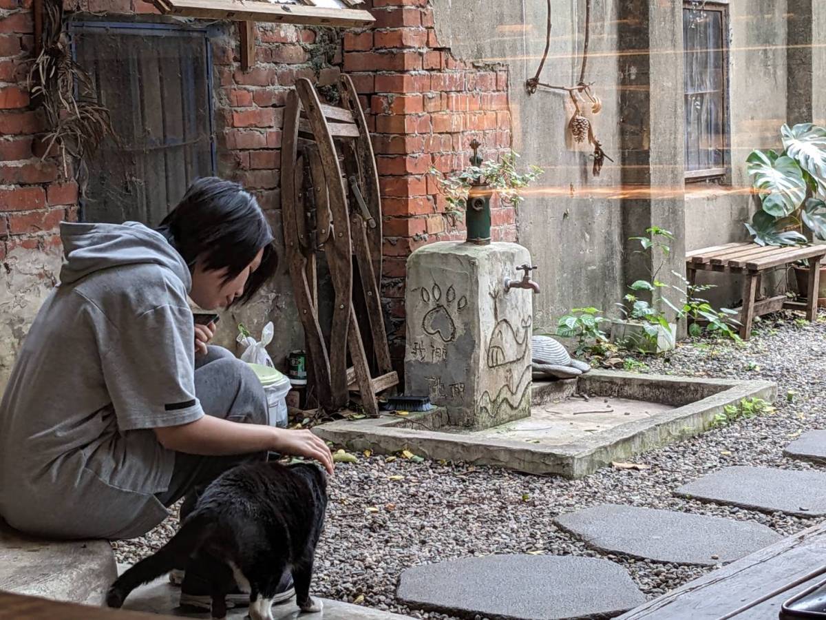 探索陰性本質．女性力量工作坊 – Mir 米爾貓催眠探索